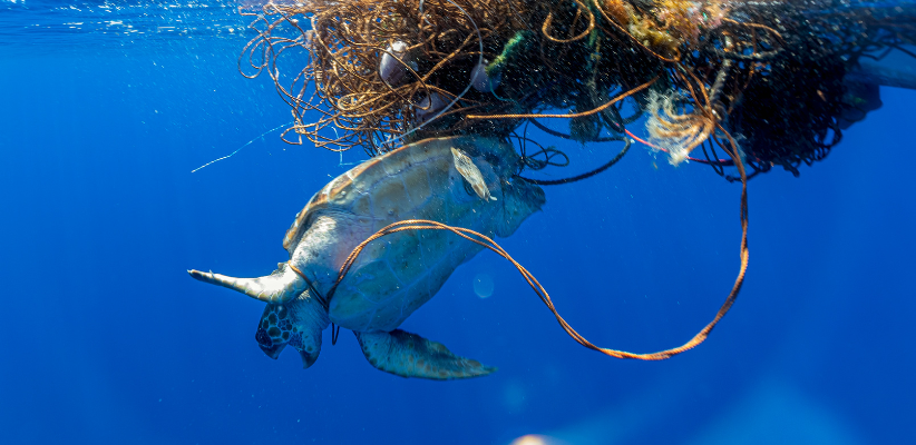 The plastic soup problem - takeaware.nl – TakeAware.nl