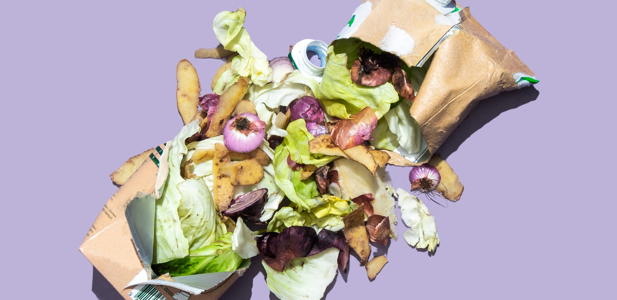 What is swill and how does it reduce food waste? - takeaware.nl ...