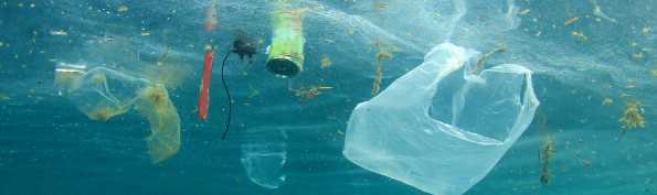 What are microplastics and why are they bad for people and nature ...